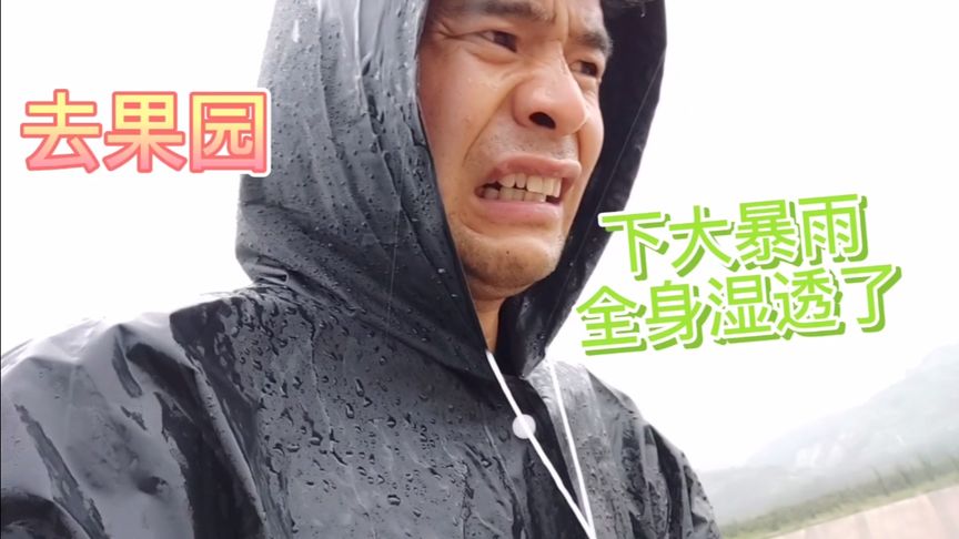 刚到果园一场大暴雨,把小伙吓坏了。农田水淹了