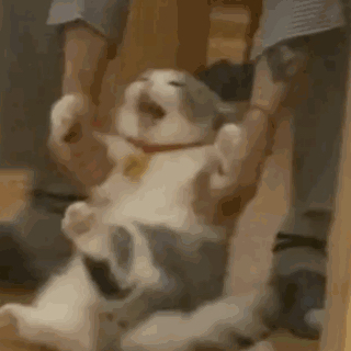 简炽炽炽炽 