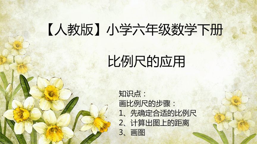 【人教版】小学六年级数学下册比例尺的应用精讲视频