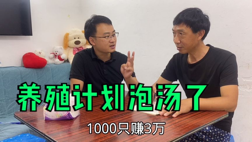 老爸计划回农村搞养殖,1000只跑山鸡能赚3万元,有没有搞头