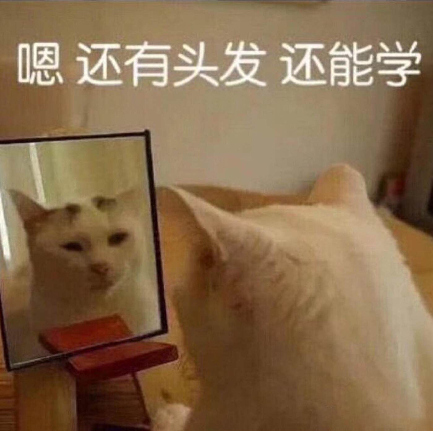 C语言编程学习社 