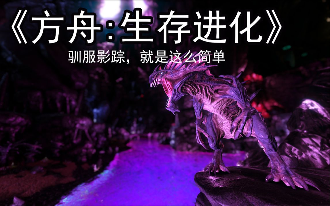 《方舟 : 生存进化》影踪不好抓!不不不,只是你没掌握对方法,看完这个...