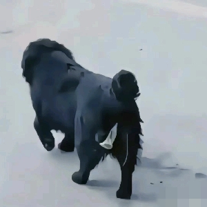 一支唄 