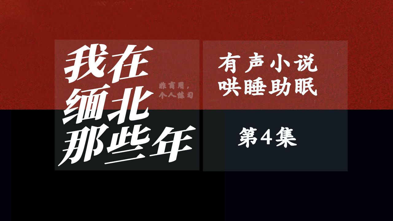 ...听书,揭秘电信境外诈骗毒枭与恐怖金三角的丑恶嘴脸,连载,纪实文学,...
