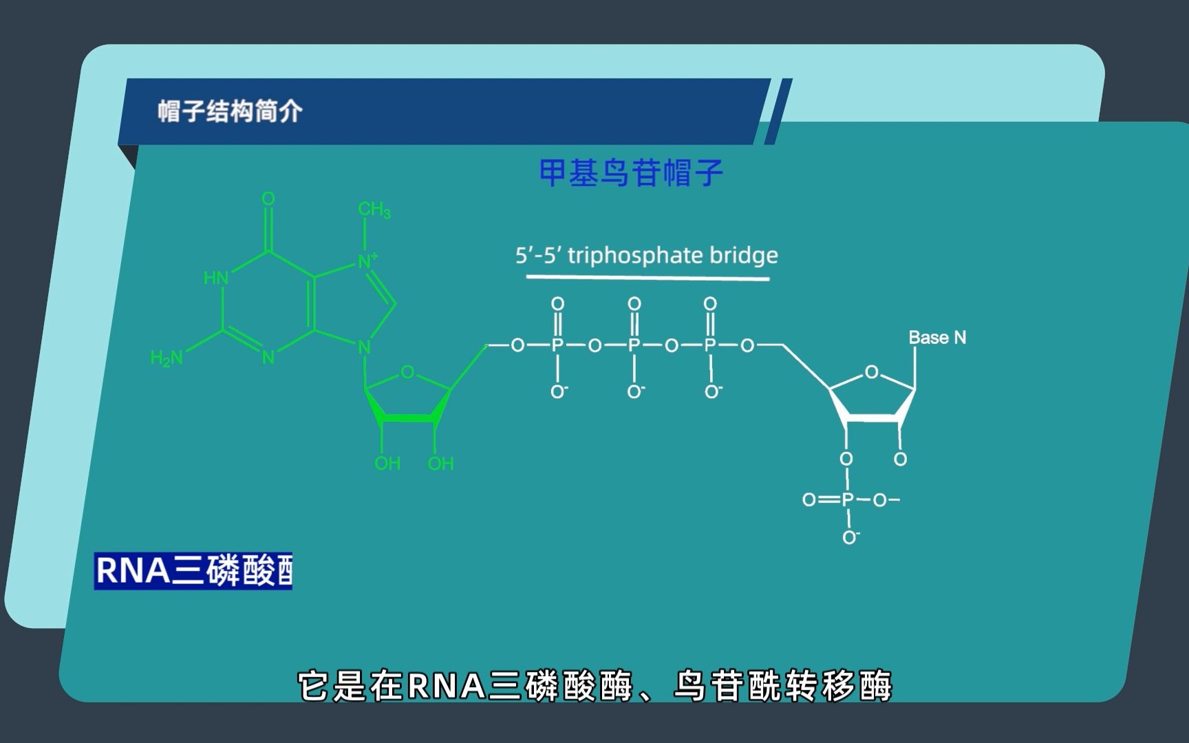 【美迪西请回答】什么是mRNA帽子结构