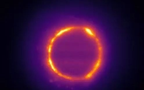 ...95B 在 MizarImaging Tilt 光片显微镜下拍摄的正在分离的小鼠卵母细胞