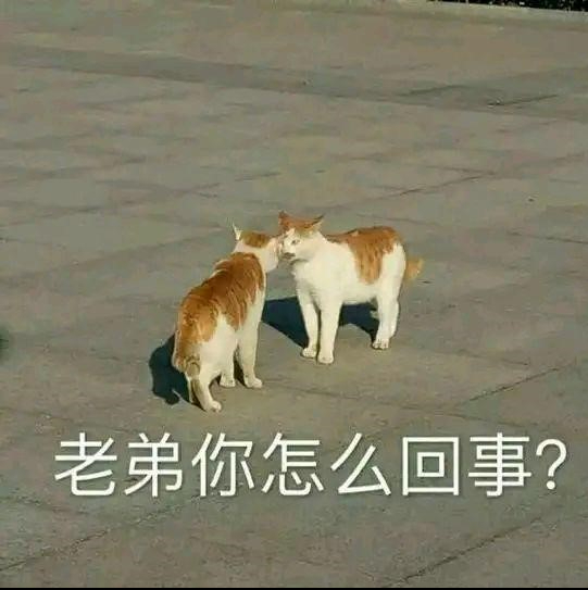 天哥讲数学 