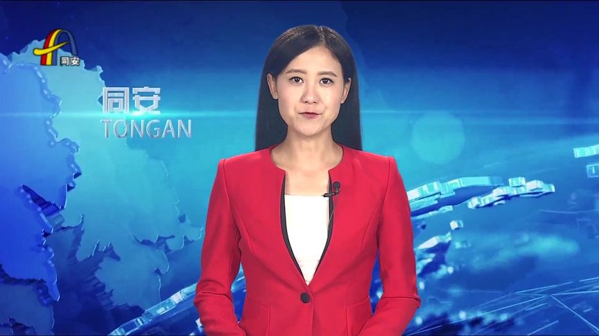 区直机关党的政治建设推进会:彰显政治统领 打造模范机关