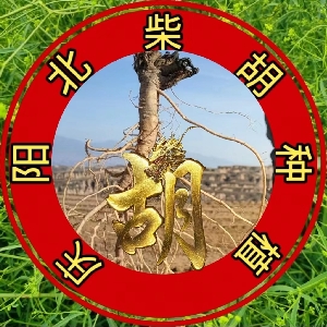 扇对现实 