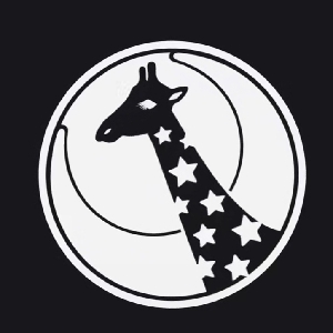 SwiftDreamer 