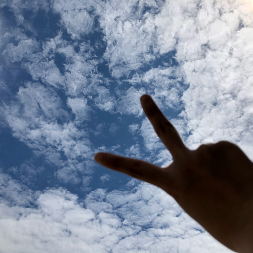 温琦琦YOLO 