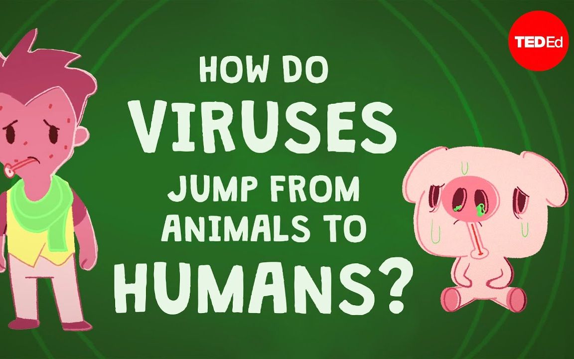 【TED-Ed】病毒是如何从动物传染到人身上的.中英双语.Ella英语社...