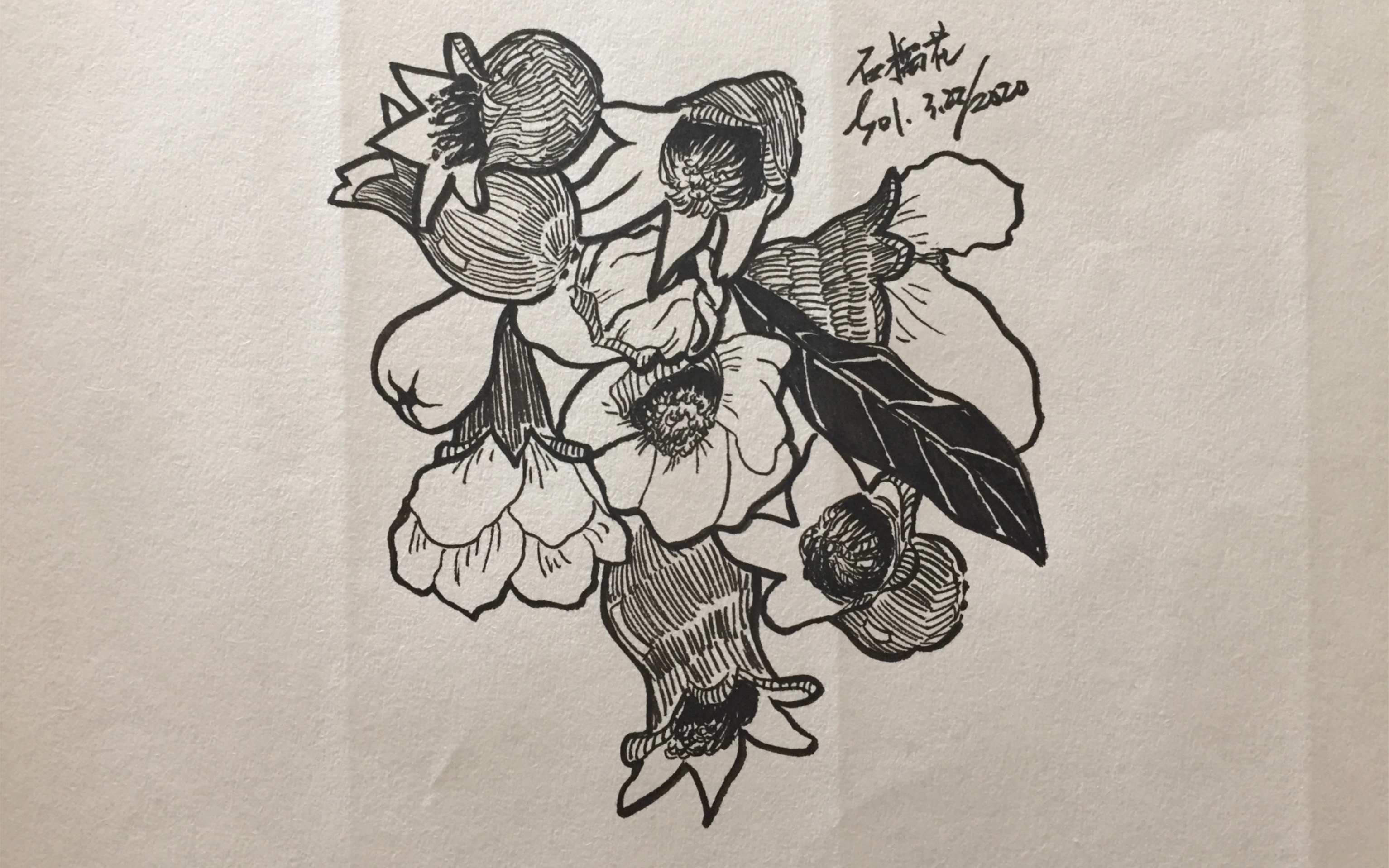 【手绘百花图】石榴花