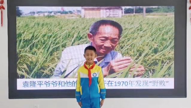 袁隆平爷爷与杂交水稻的故事