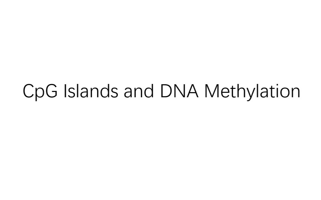 CpG岛和DNA甲基化(CpG Islands and DNA Methylation)