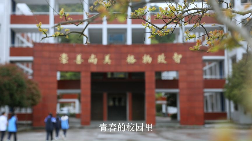 防治校园欺凌和暴力 共创文明和谐校园