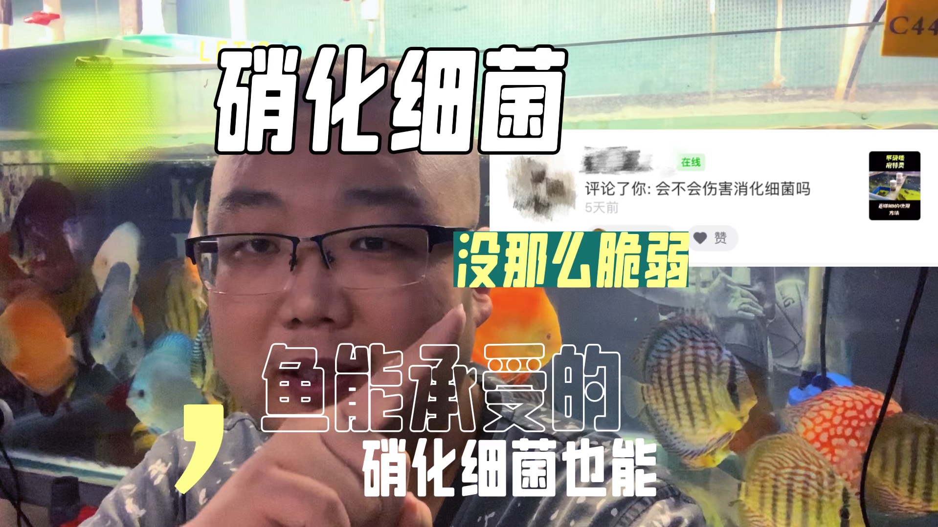 害怕下药伤硝化细菌,放心吧硝化细菌没你想的那么脆弱