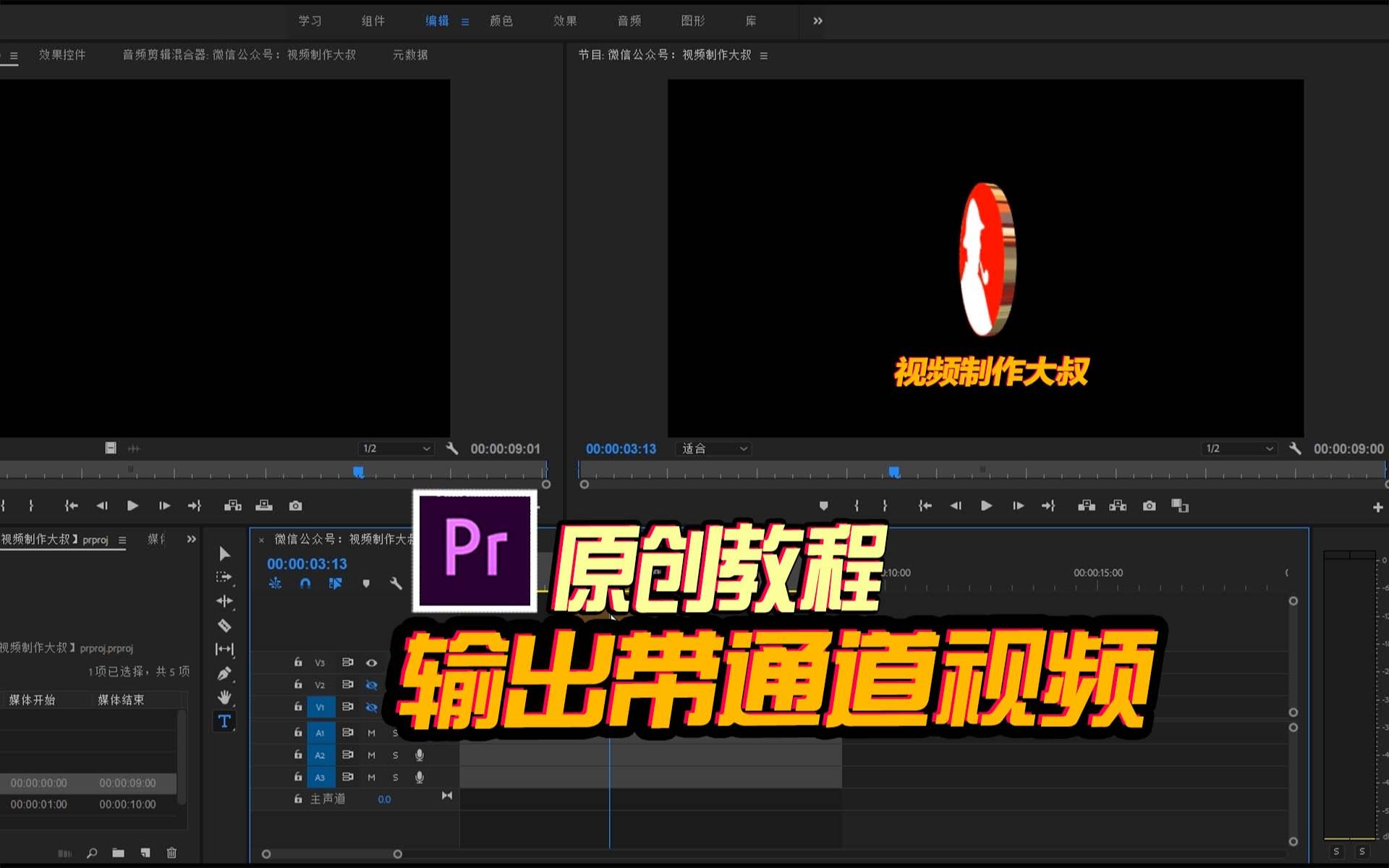 PR教程:如何输出带有通道的视频?