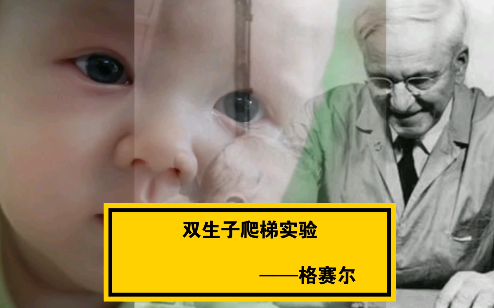 超前学习的意义在哪里?拔苗助长式教育!——格赛尔双生子爬梯实验