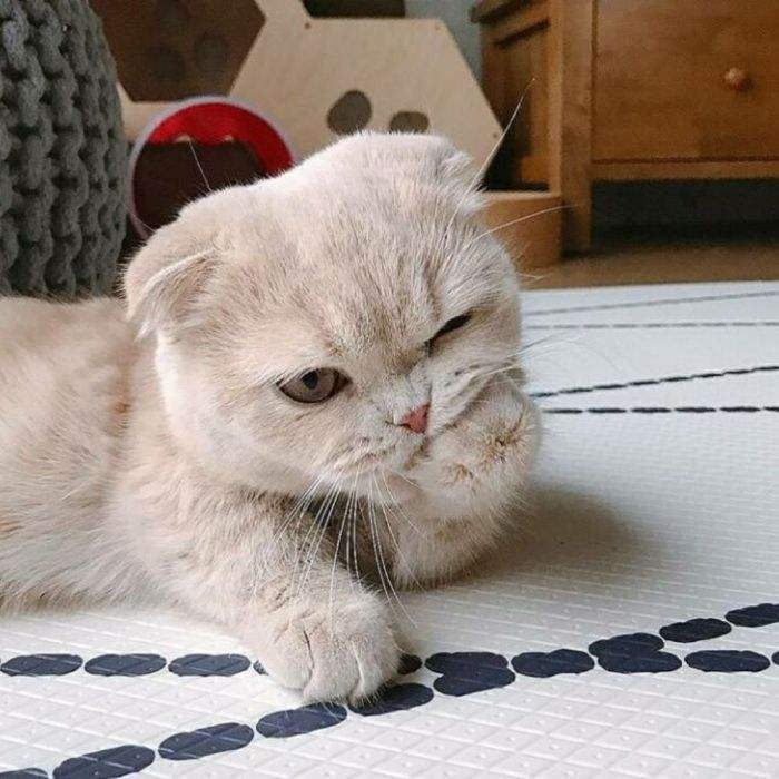 新尘耍传奇 