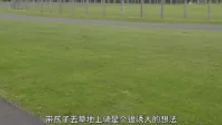 【中文字幕】如何教你的孩子骑自行车