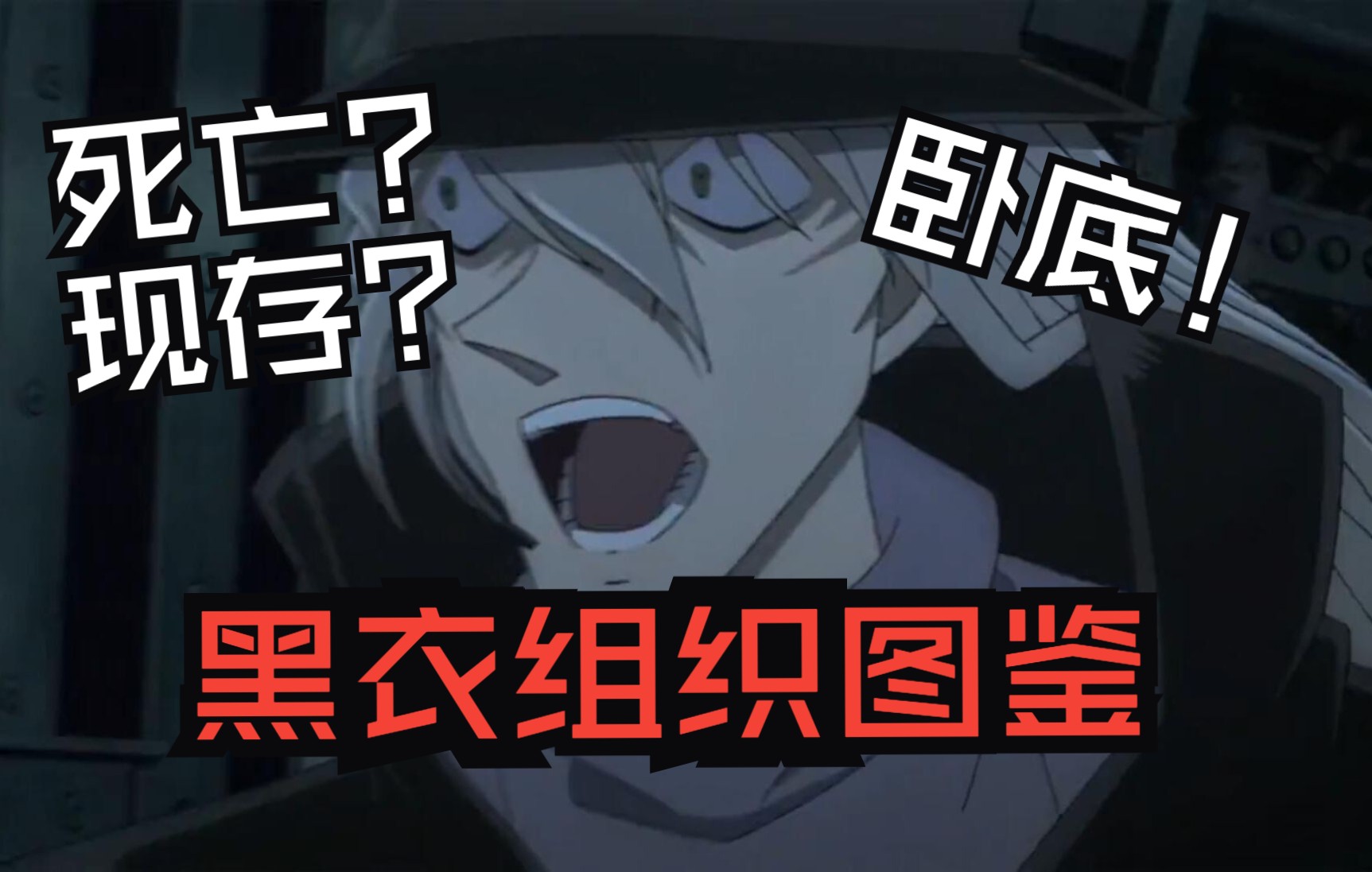 【迷路社长】死亡?现存?卧底!名侦探柯南黑衣组织图鉴