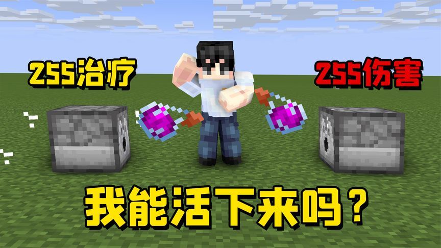 我的世界:千万不要同时使用255治疗和255伤害药水!