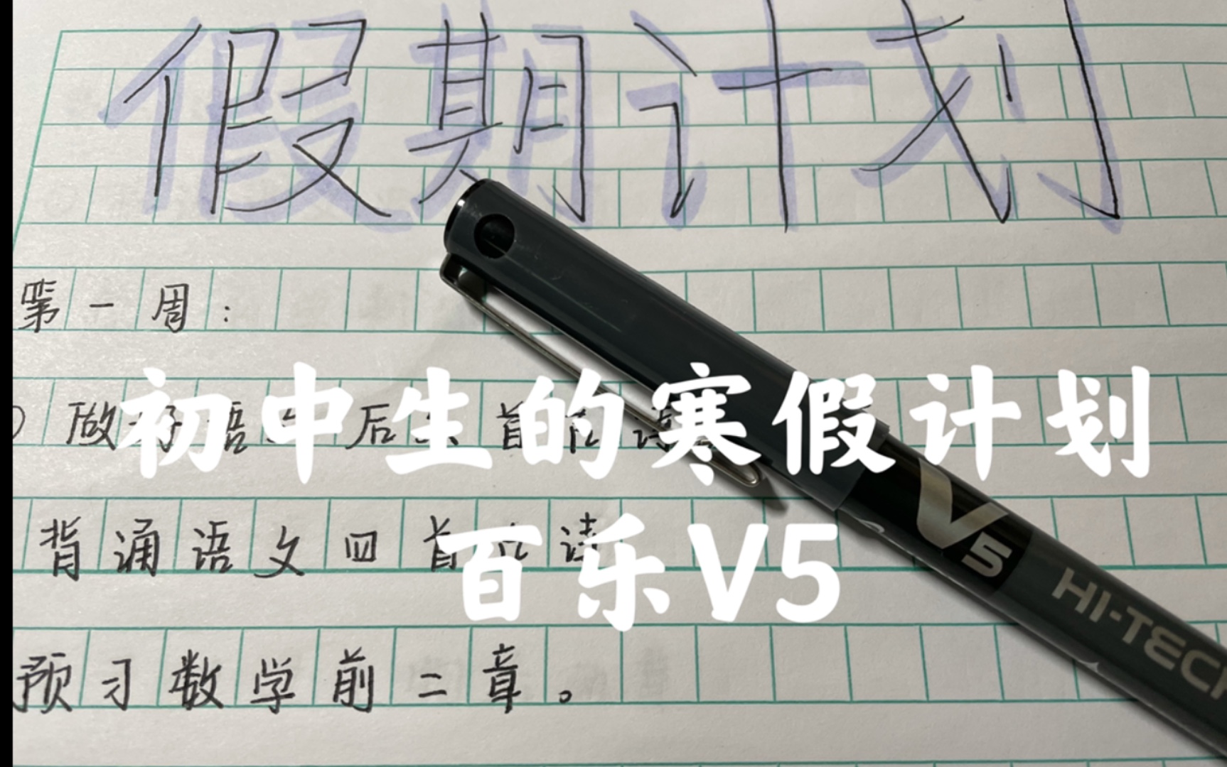 初二同学的寒假计划 字丑勿喷