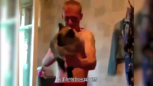揭秘猫枪黑科技!枪械竟能完美隐藏其中,原理让人大开眼界!