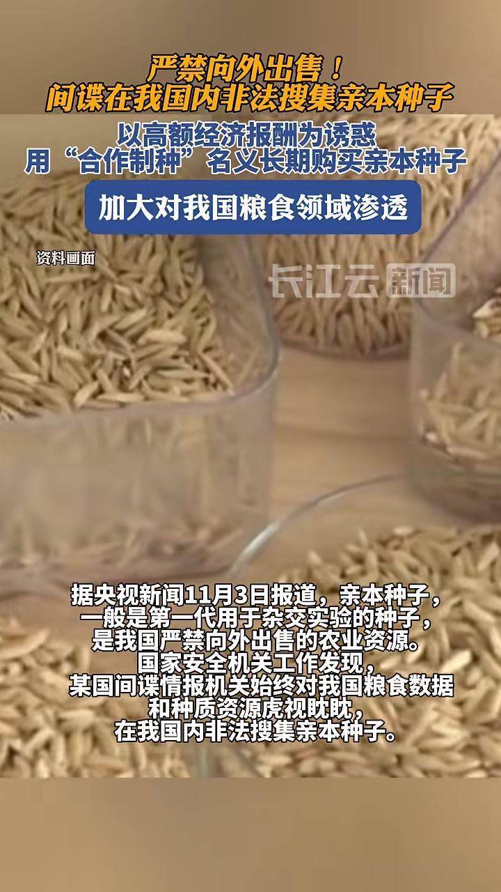 警惕!间谍在我国搜集亲本种子,加大对我国粮食领域渗透