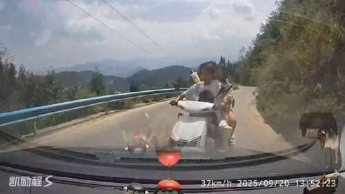 行车记录仪拍下惊魂瞬间!姐的魂都吓飞了,这buff直接叠满!