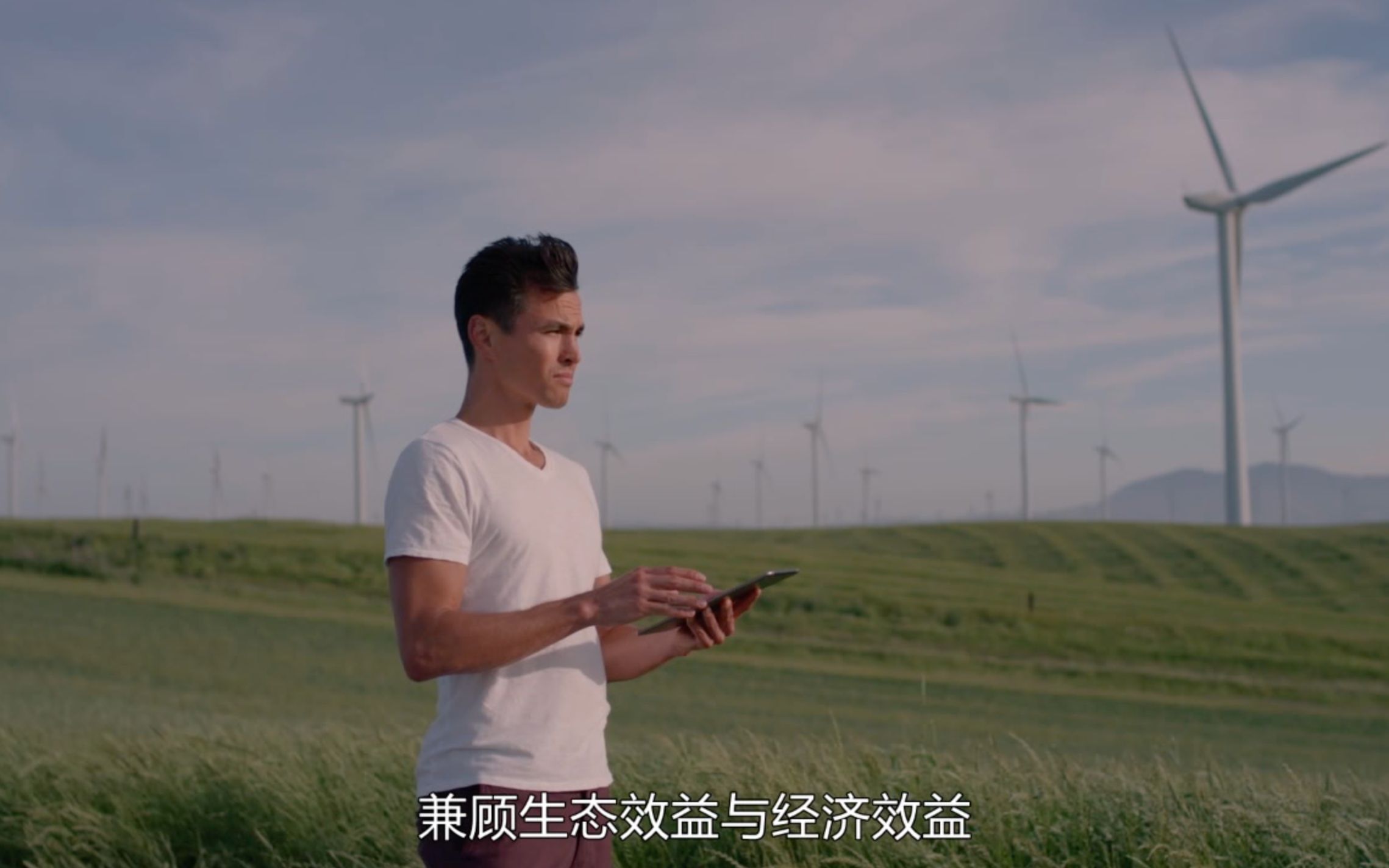SAP 洞察|可持续供应链愿景