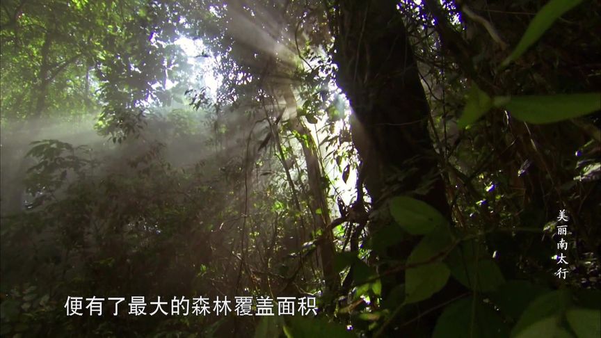 中原的山:水资源丰富的南太行,有了森林,更有涵养水源的能力