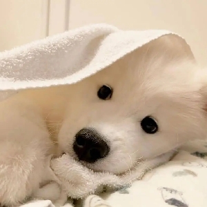 一声欸乃山深处 