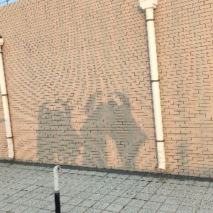 mal___ 