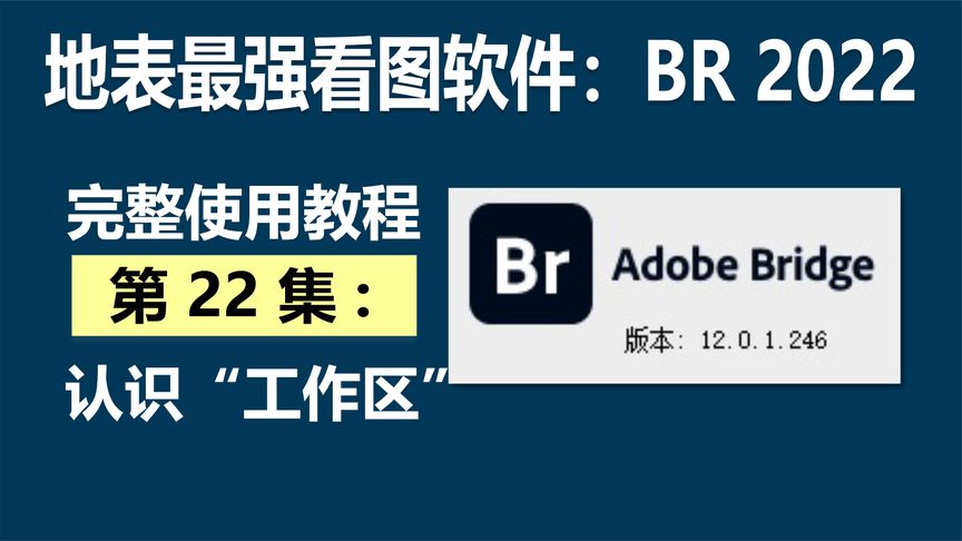 地表最强看图软件:BR2022完整教程第22集 认识"工作区"