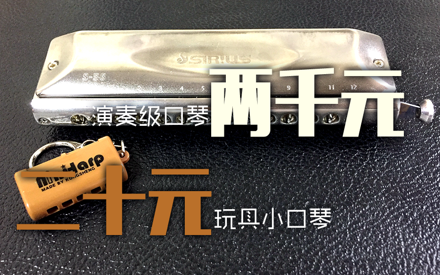 【口琴】2000元到20元,你能听出多少区别呢【有区别吗?】