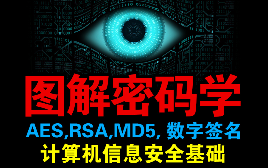 图解密码学,超简单的密码原理,计算机信息安全基础
