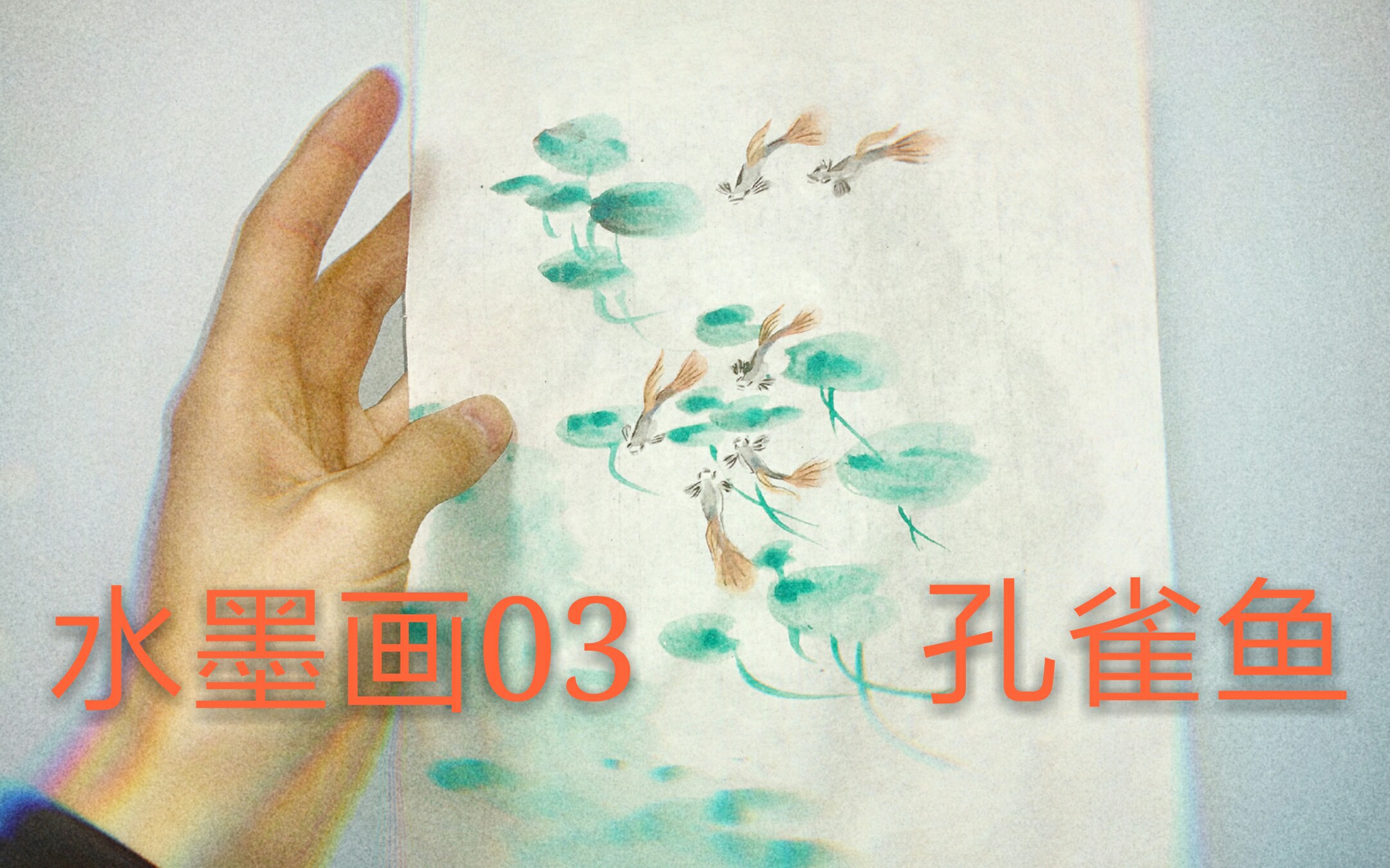 【水墨画】03 孔雀鱼 国画画孔雀鱼 新手练习。
