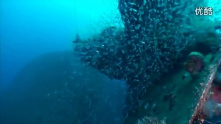 战舰世界:长门号战列舰。