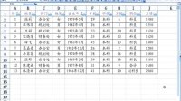 永中集成Office视频教程——轻松学会自动筛选
