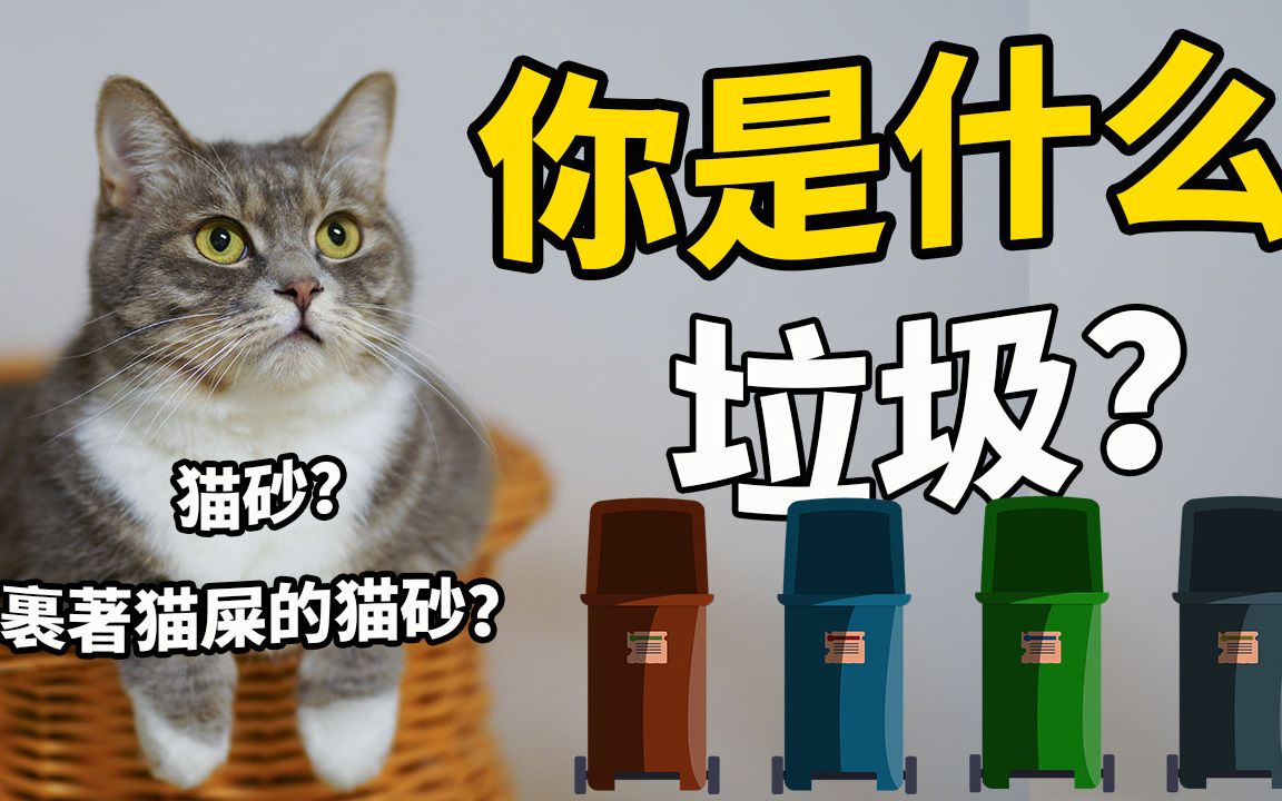 4个口诀学会宠物垃圾分类,沾了便便的猫砂是什么垃圾?养猫必看!