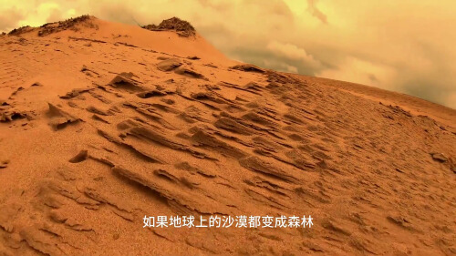 如果地球上的沙漠都变森林,产生啥样的后果?听听科学家怎么说