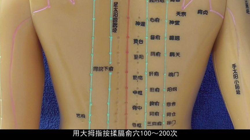 膈腧穴功效:散热化血。主治:各种血症
