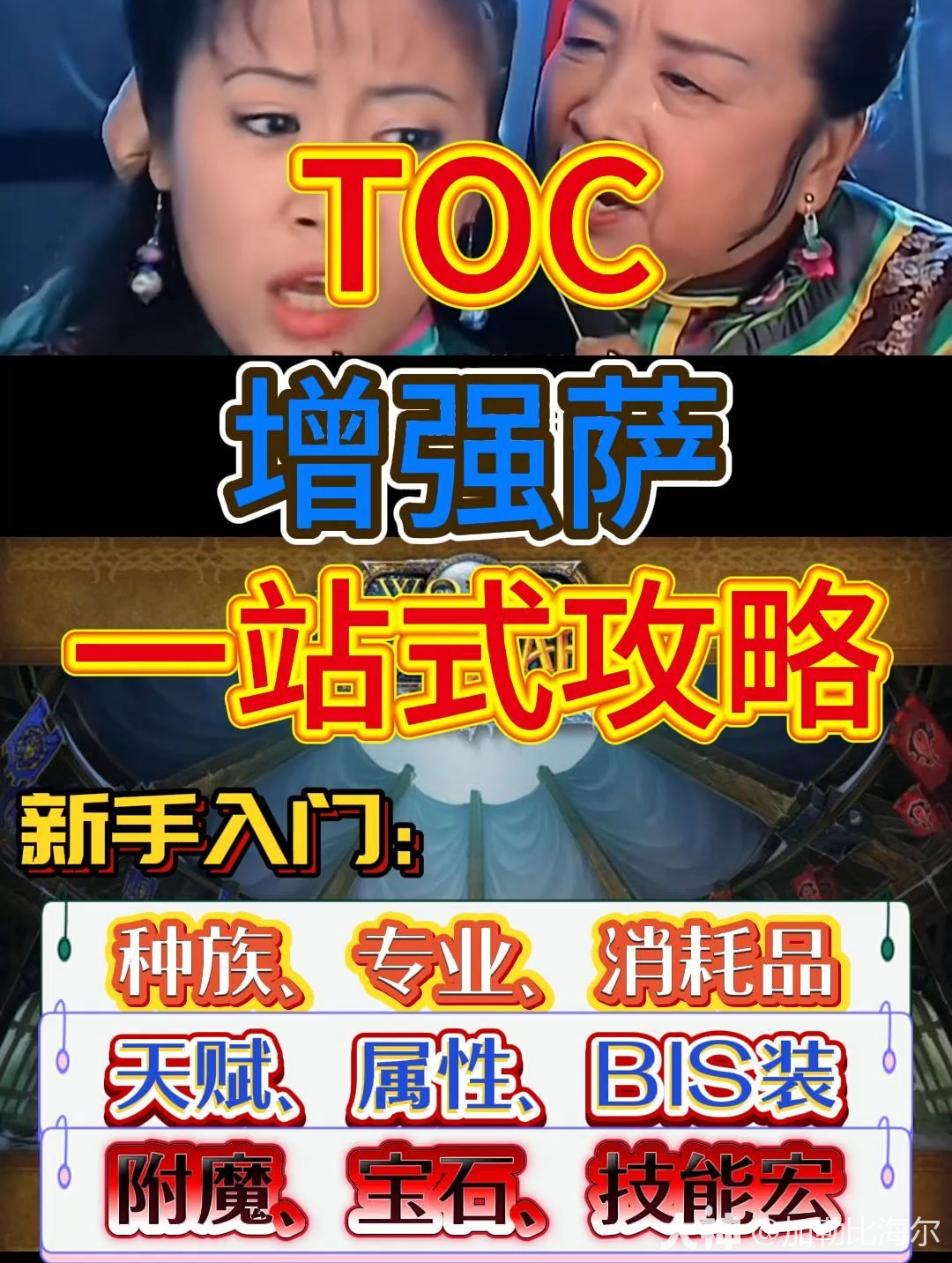 TOC增强萨一站式攻略:种族、专业、消耗品、天赋、属性、大雕文、...