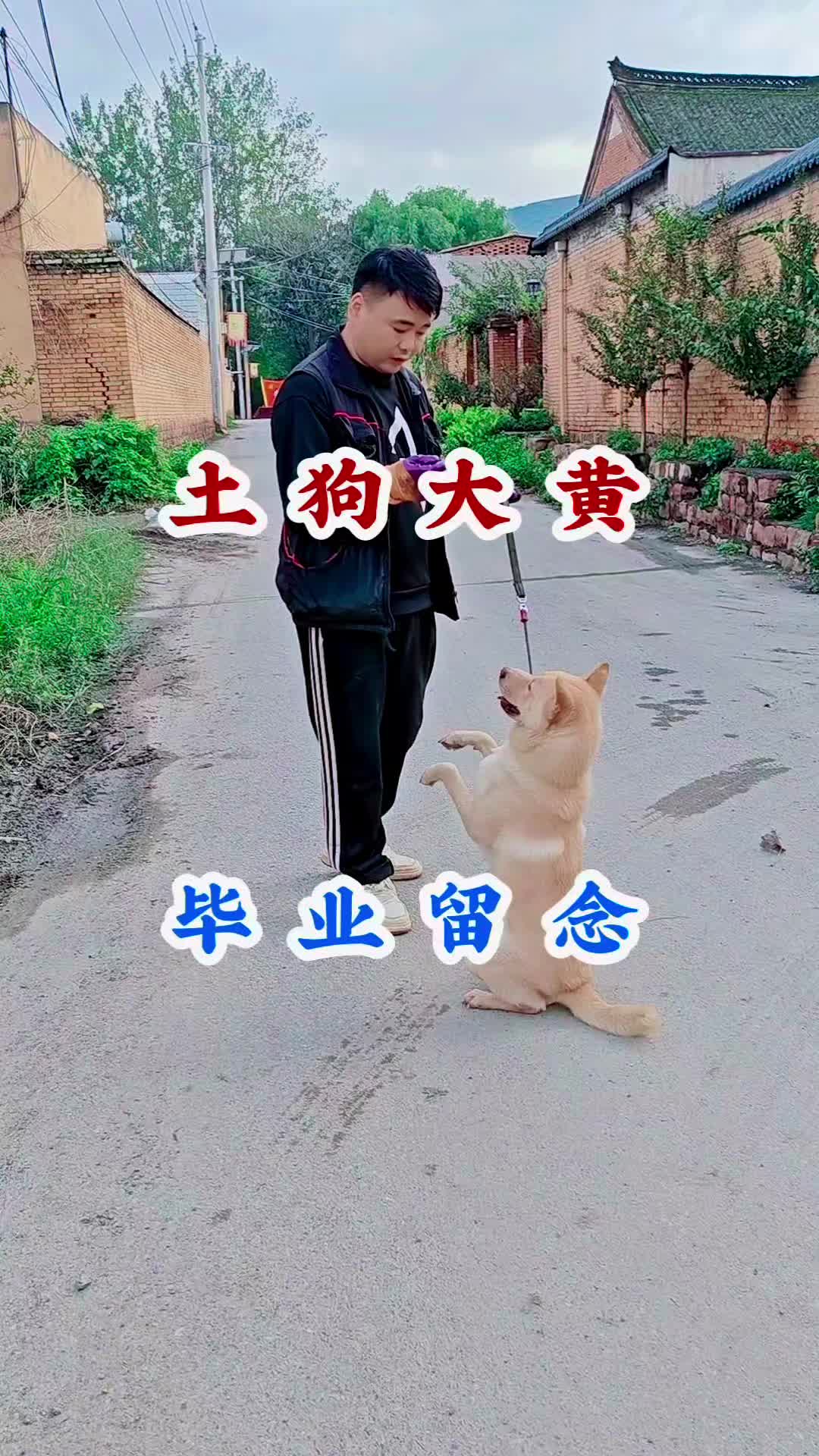 #训犬 #训犬学校 #狗狗上学 #狗狗训练