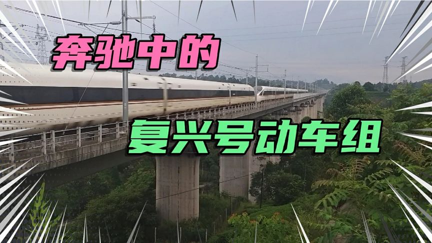 飞驰中的复兴号动车组,你能分辨出它们型号吗?