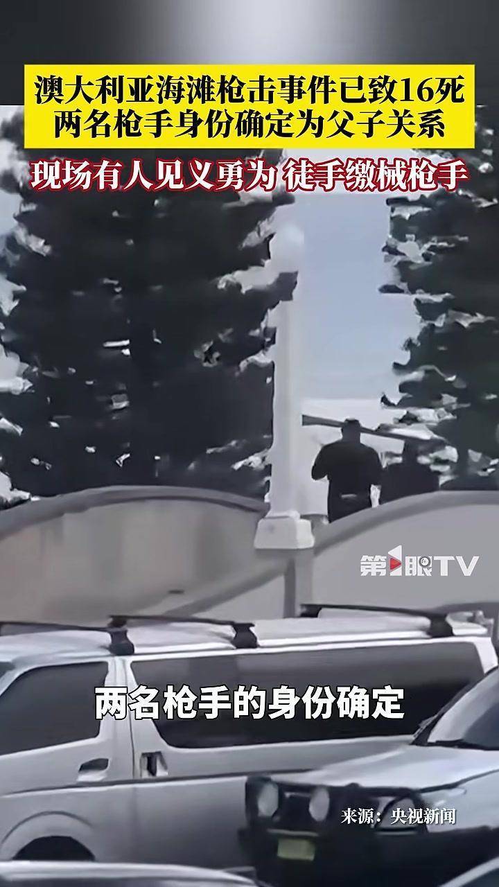 澳大利亚邦迪海滩当地时间12月14日发生枪击事件,目前已造成16人...
