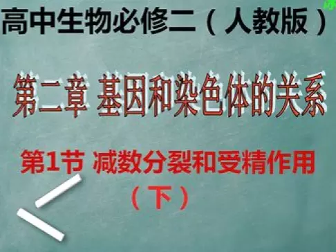 (超清)高中生物必修二第二章第一节减数分裂和受精作用(下)