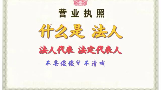 法人与法定代表人与法人代表有什么不同